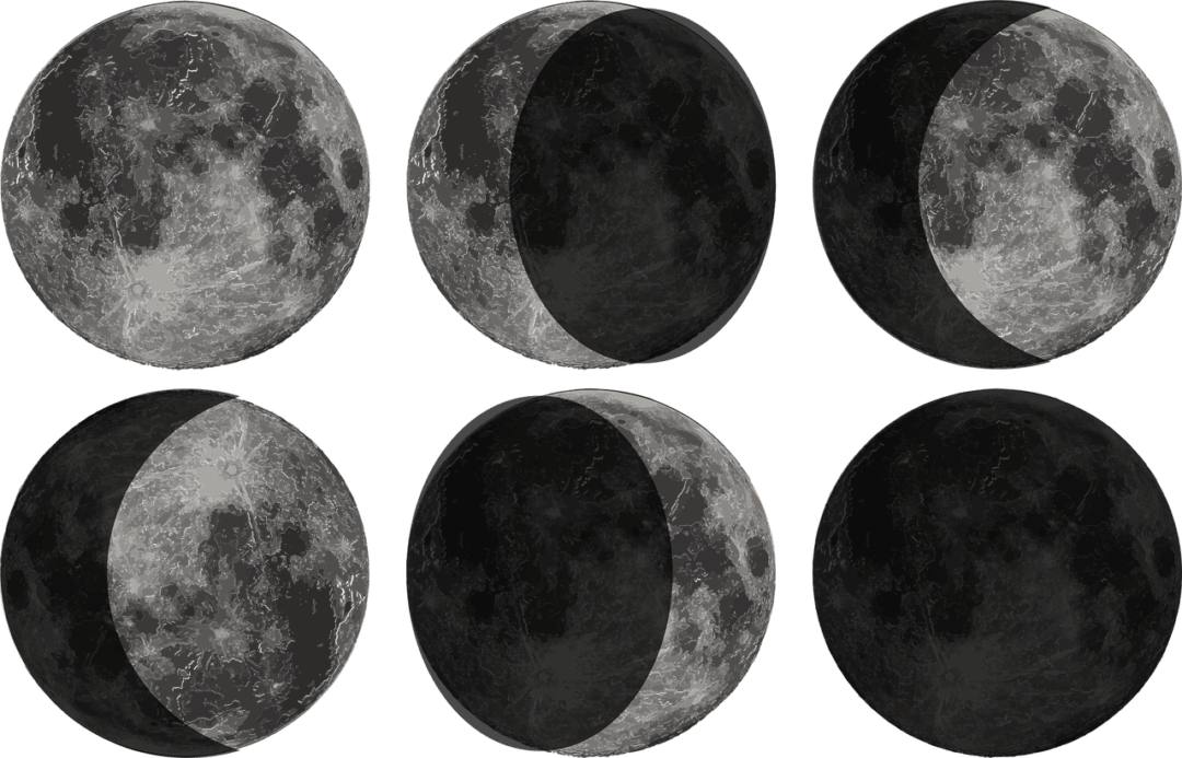 Moon Phases and Bass Fishing: A Detailed Guide - Bass Hounds