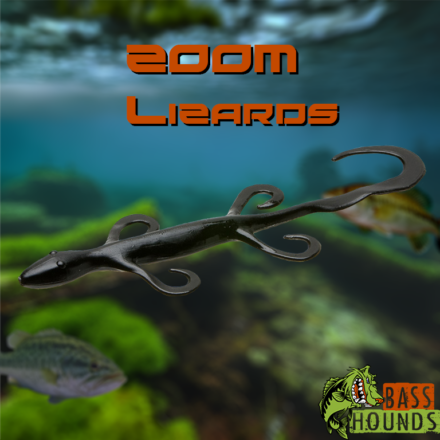 Zoom Lizard - Bass Hounds